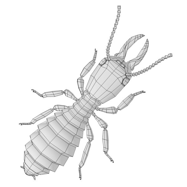 3d model of termite