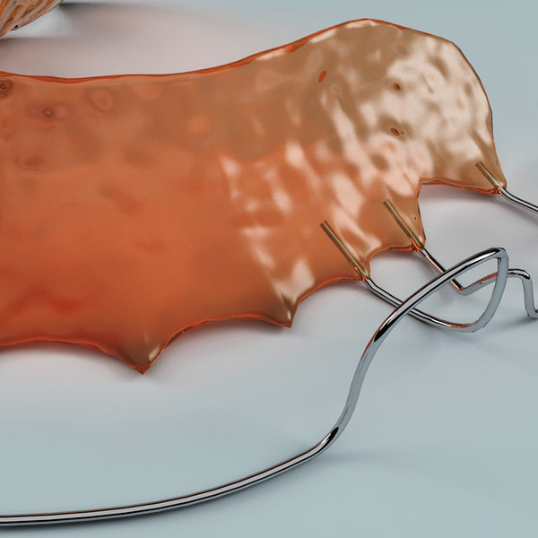 dental tooth plate 3d model