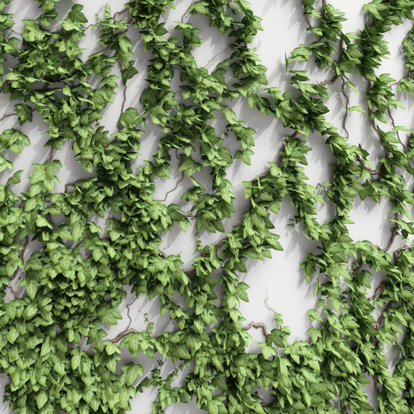 3ds max ivy v3