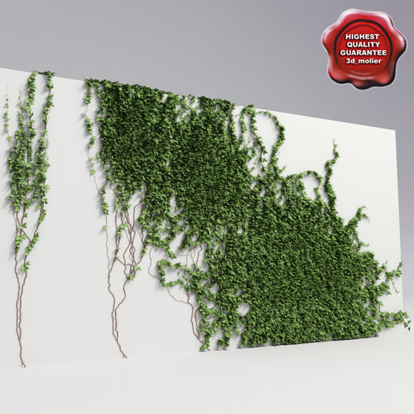 3ds max ivy v3