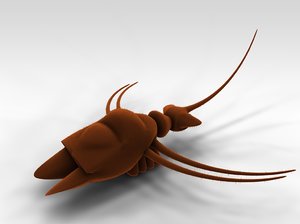 3D Parasite Models | TurboSquid