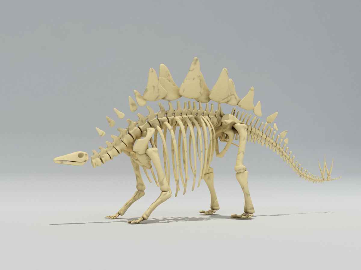 stegosaurus skeleton 3ds