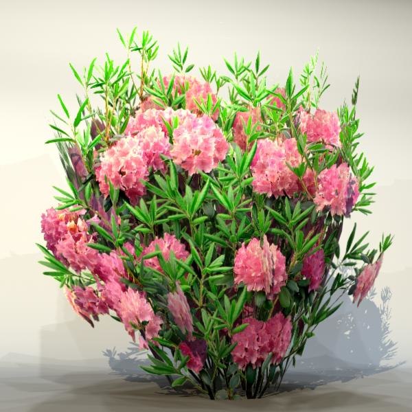 modelo 3d Bush n 019 - TurboSquid 573786