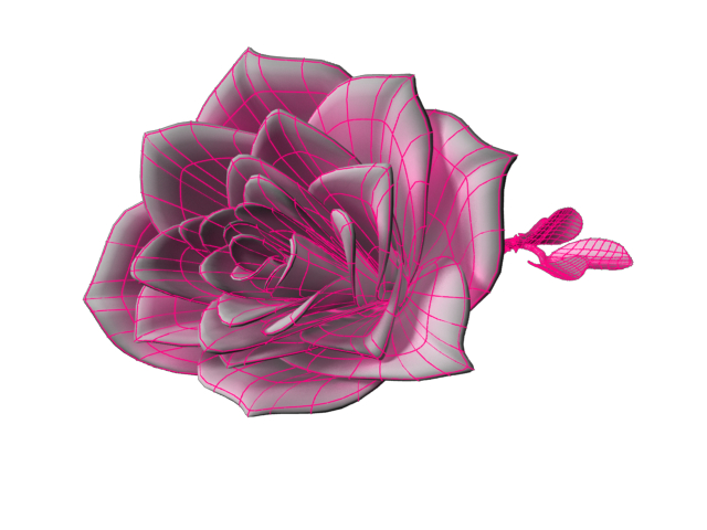 3d rose