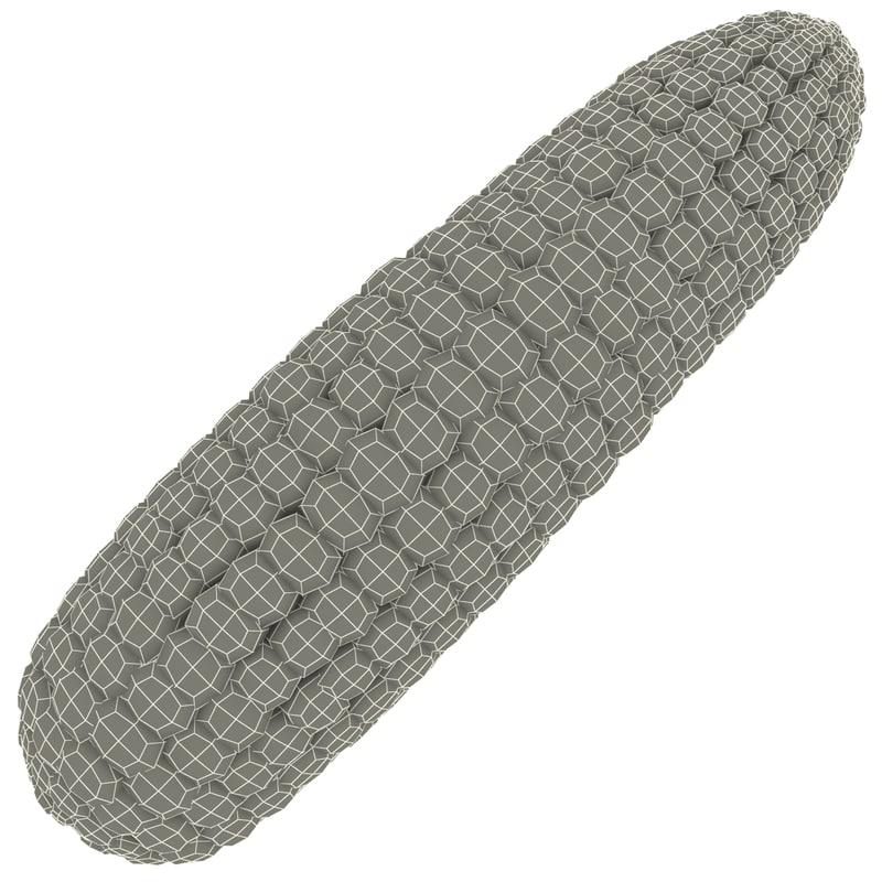3d corn v3 model