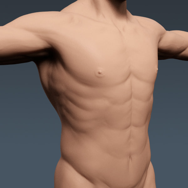 3d Model Realistic Human Male Body