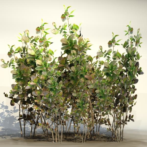 3d model pc bush