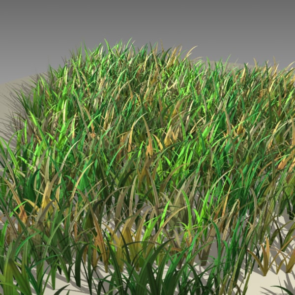 grass games fps 3d max