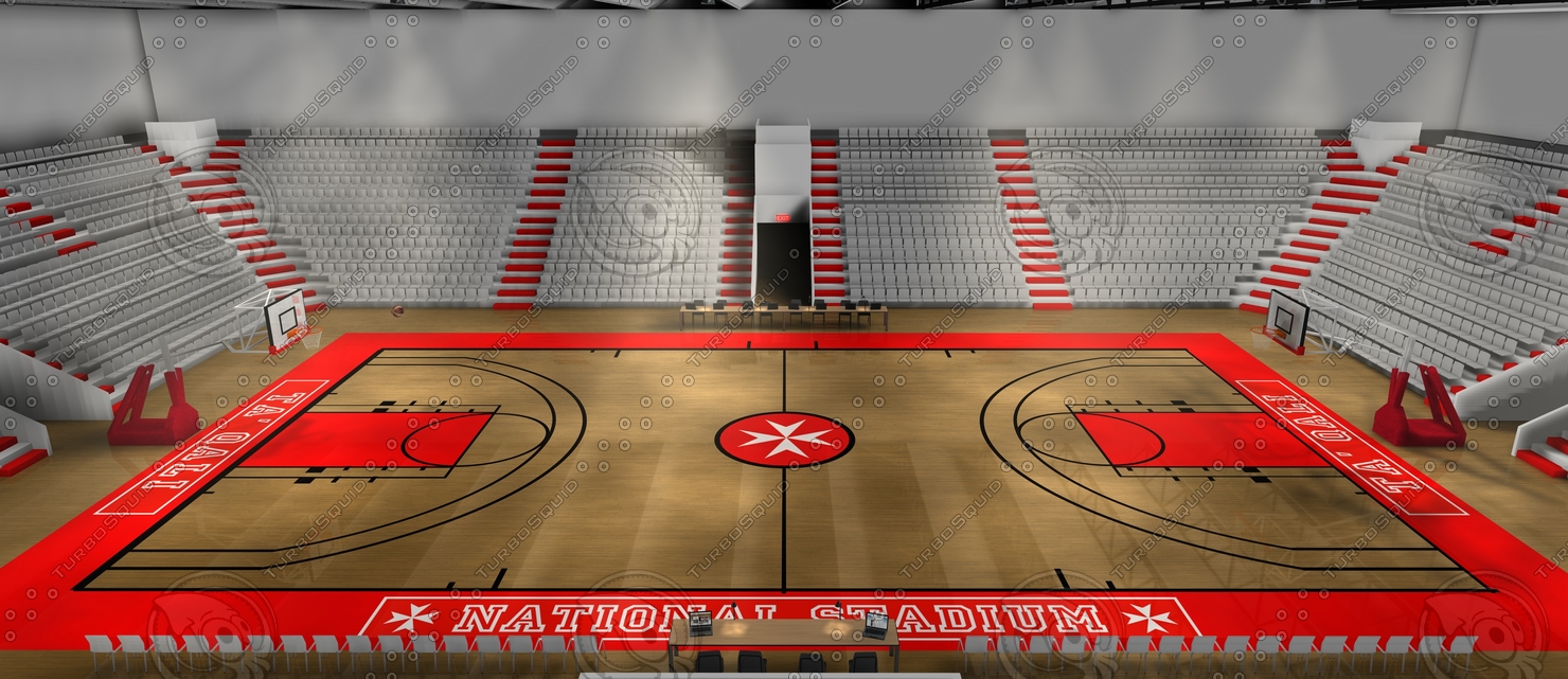 3ds arena basketball