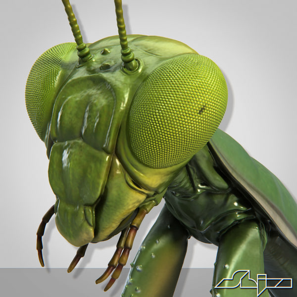 3d model ant cartoon