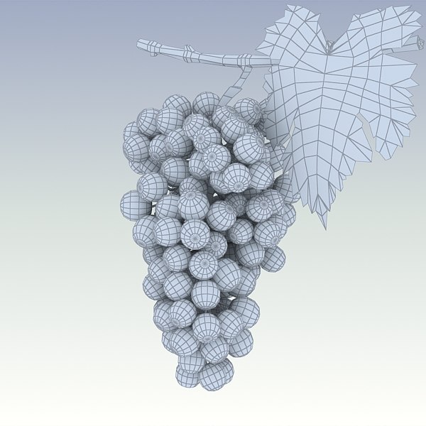 green grapes 3d model