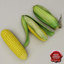 3d model corn set modelled