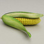 3d model corn set modelled