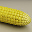 3d model corn set modelled