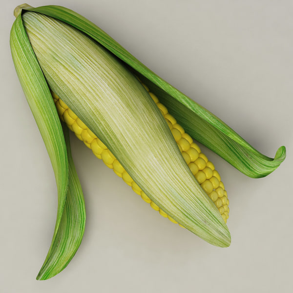 3d corn v2 model