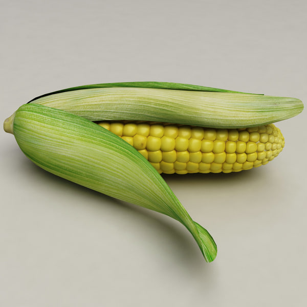 3d corn v2 model