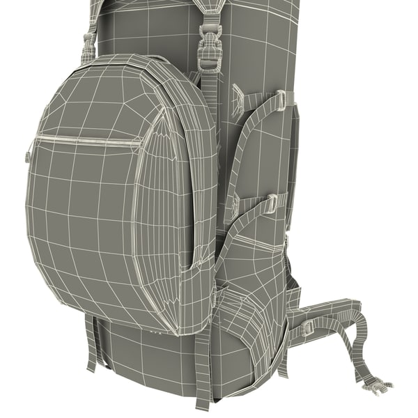 c4d large travel backpack