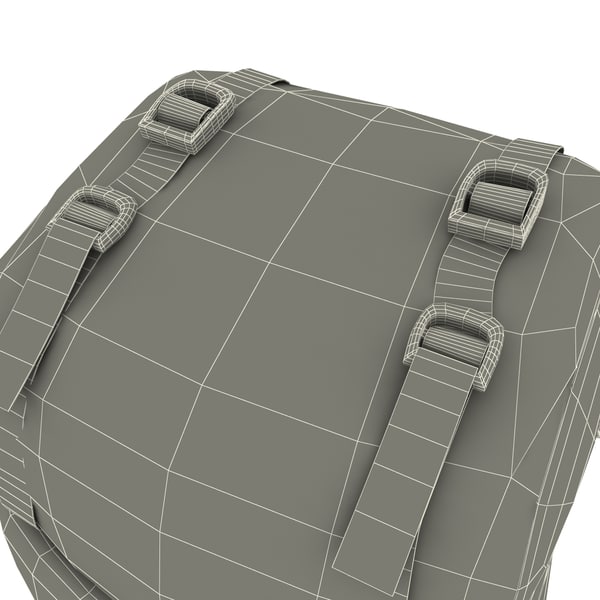 c4d large travel backpack