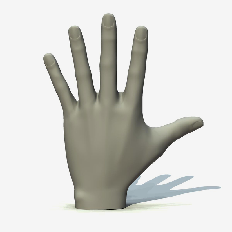 3d realistic hand model