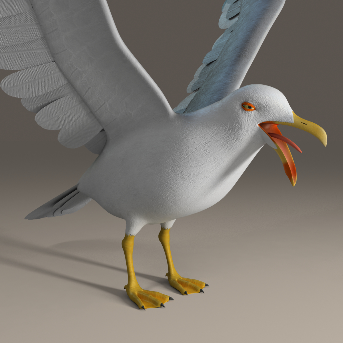 seagull rigged 3d max