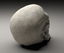 3d skull model