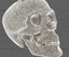 3d skull model