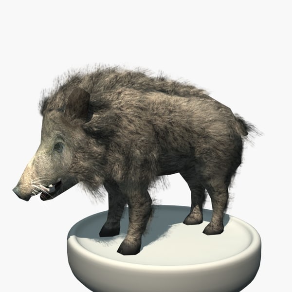 3ds max furry wild boar