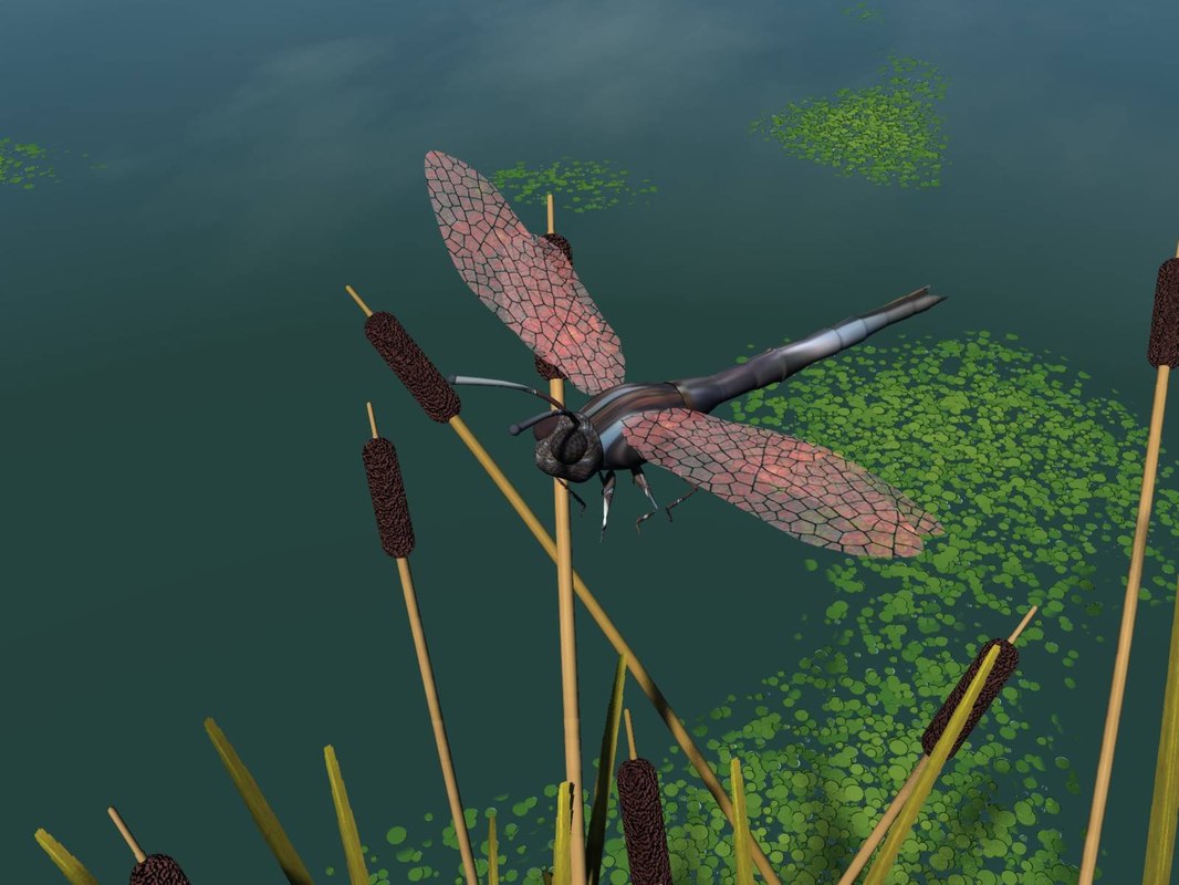 dragonfly 3d 3ds