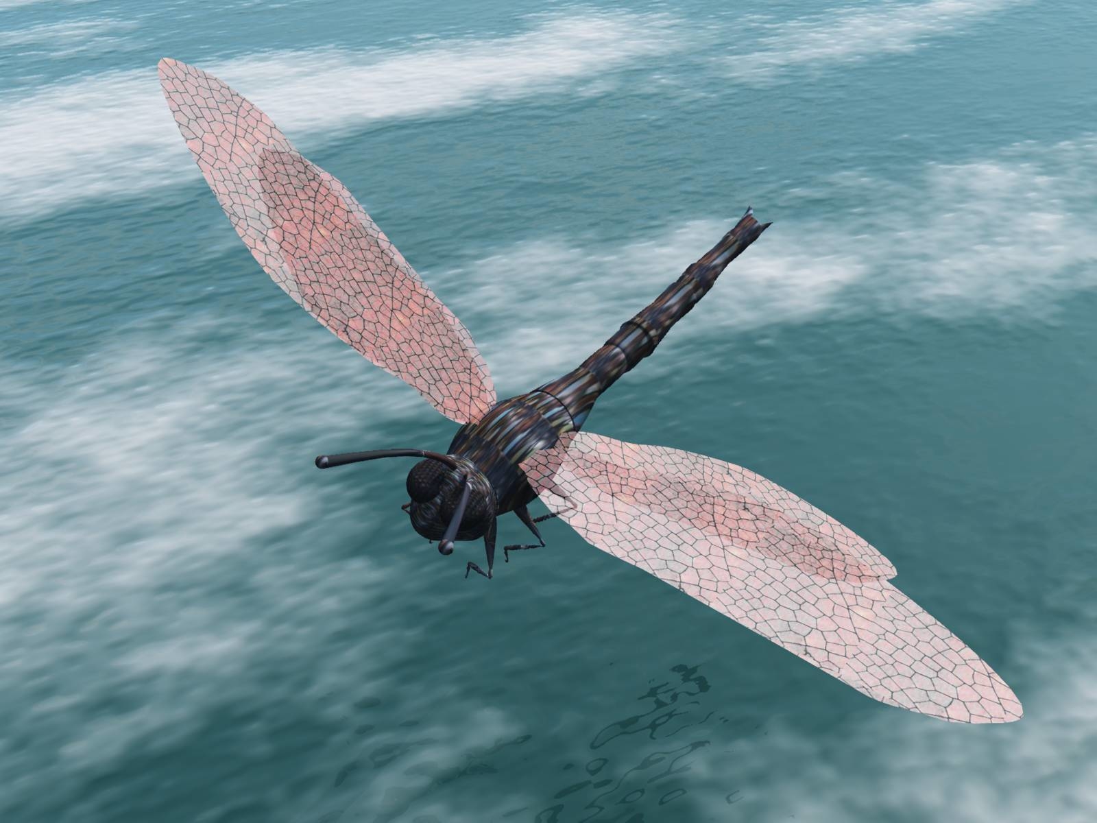dragonfly 3d 3ds