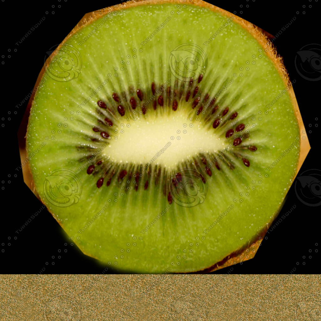 3d realistic kiwi model