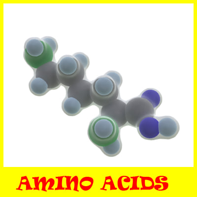 proteinogenic amino acids 3d model