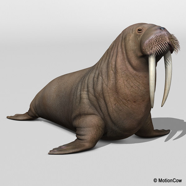 realistic rigged max