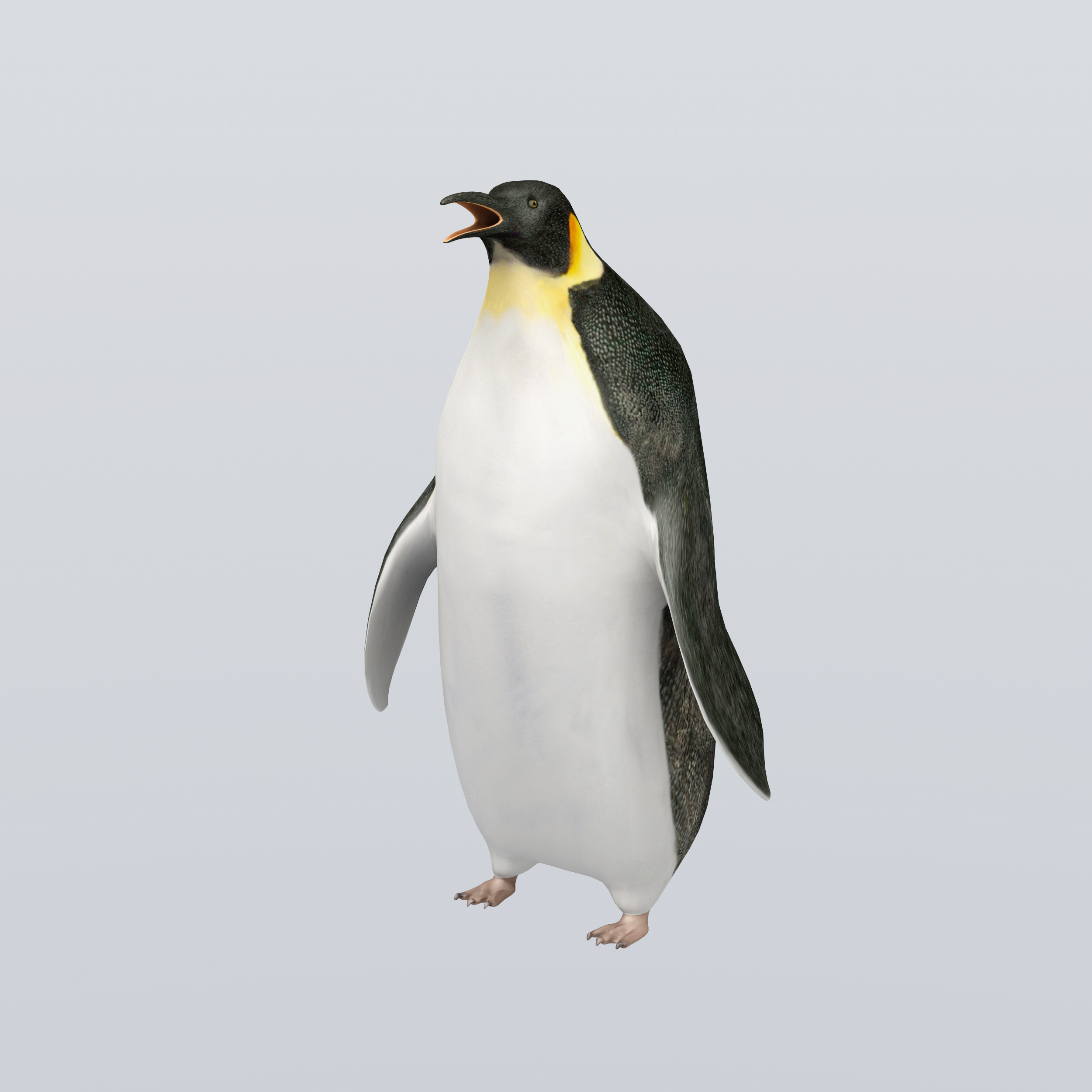 3d model penguin animation