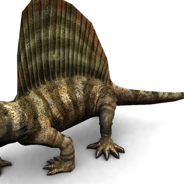3d model dimetrodon animation