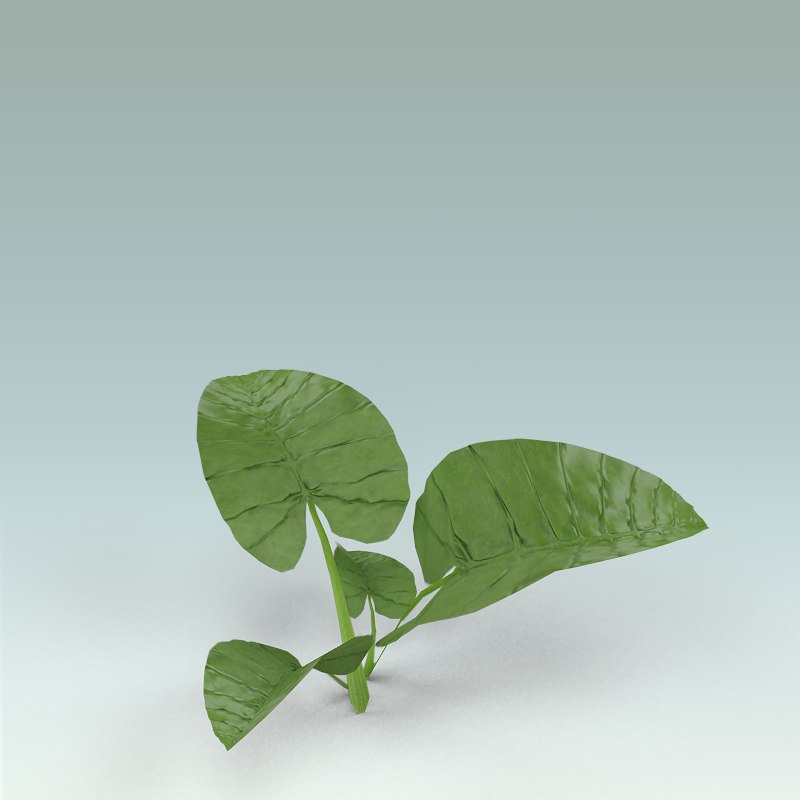 free leaves 3d model