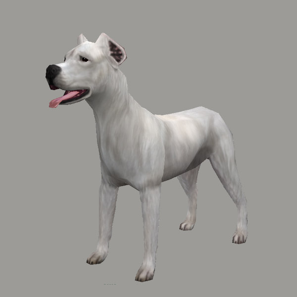 modelo 3d perro - TurboSquid 583621