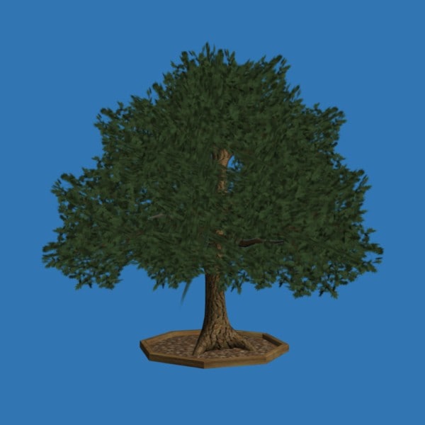 3d model of oak tree pl