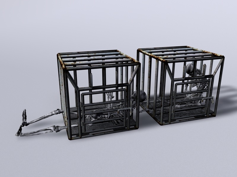 3d model cage