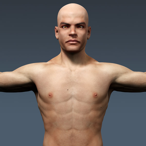 3d human male anatomy - model