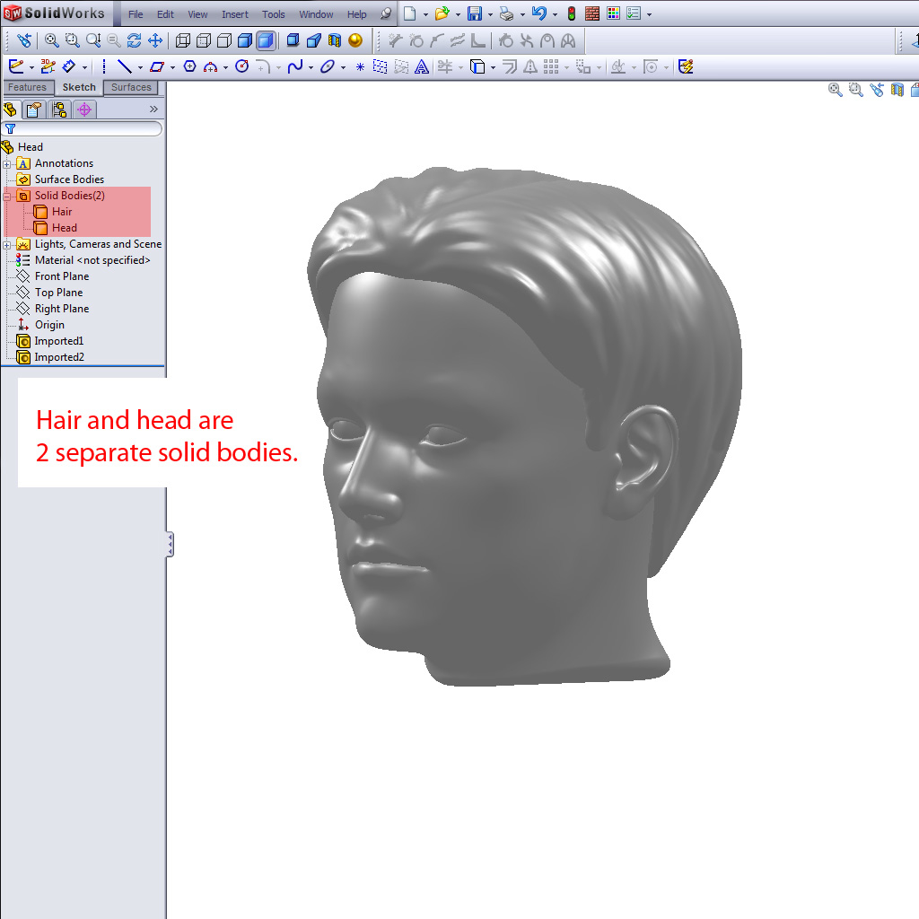 male human head solidworks 3dm