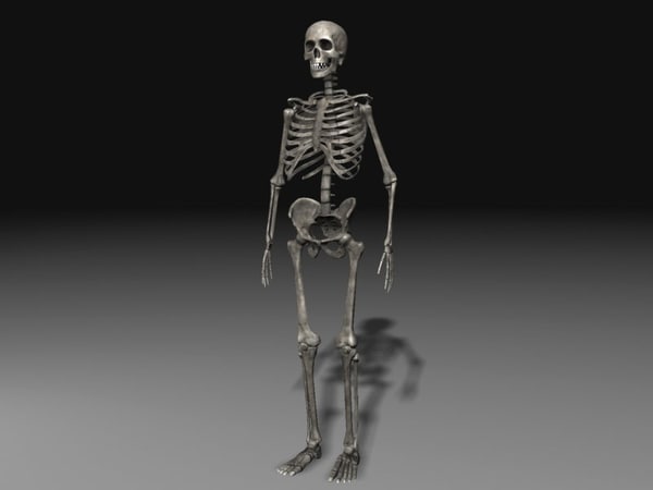 Human Skeleton Blender Models for Download | TurboSquid