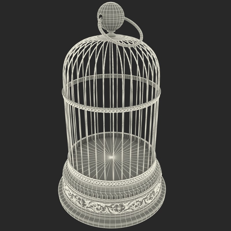 old bird cage 3d model