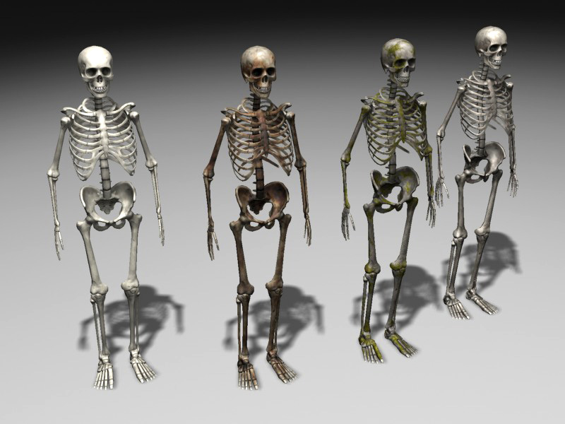 Skeleton Blender Models for Download | TurboSquid
