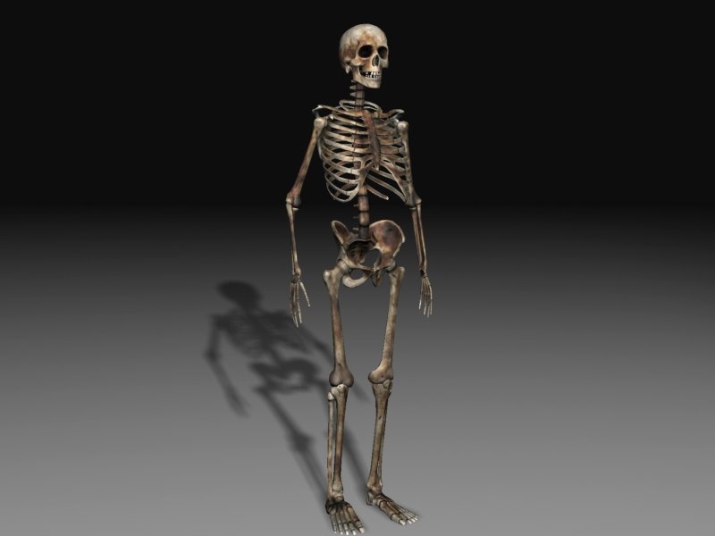 Skeleton Blender Models for Download | TurboSquid