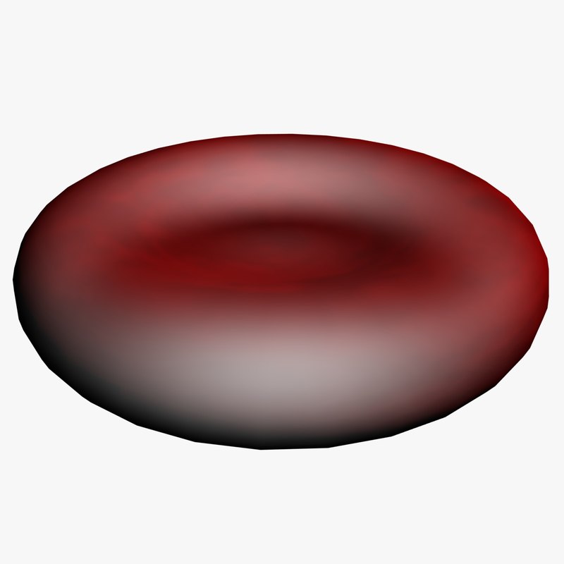 3d model blood cell