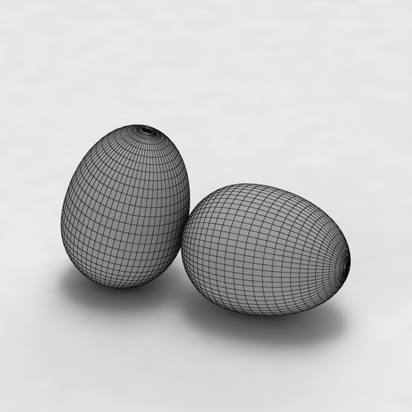 3d egg model
