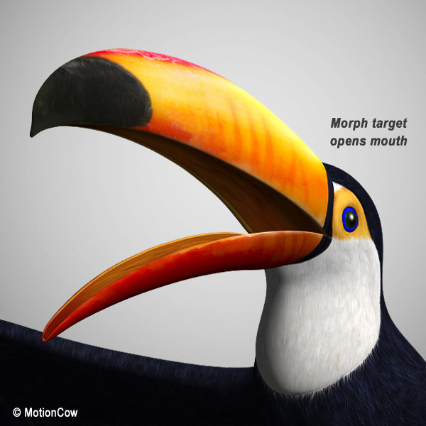 c4d realistic flying toucan