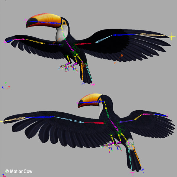 c4d realistic flying toucan