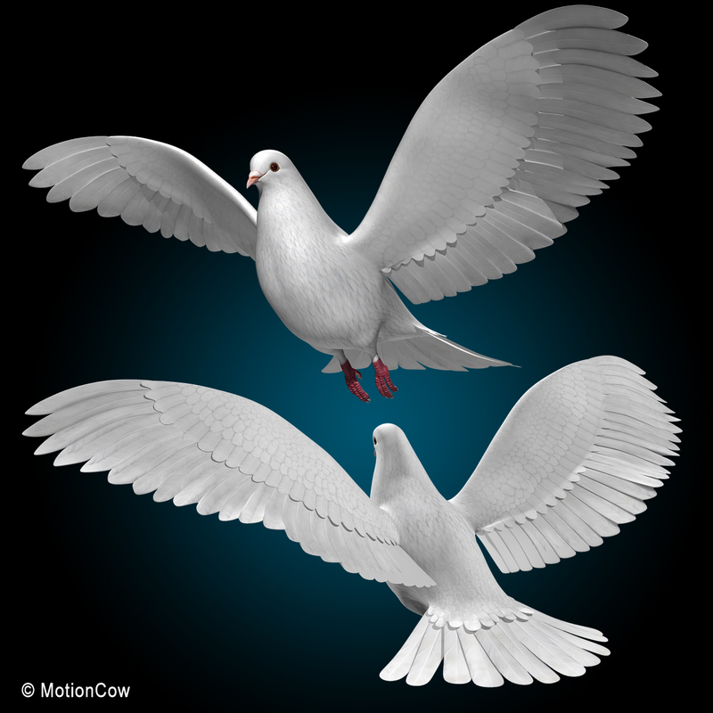3ds max realistic flying dove