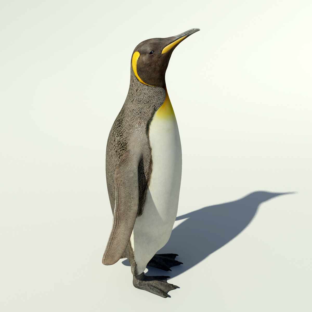 king penguin 3d model